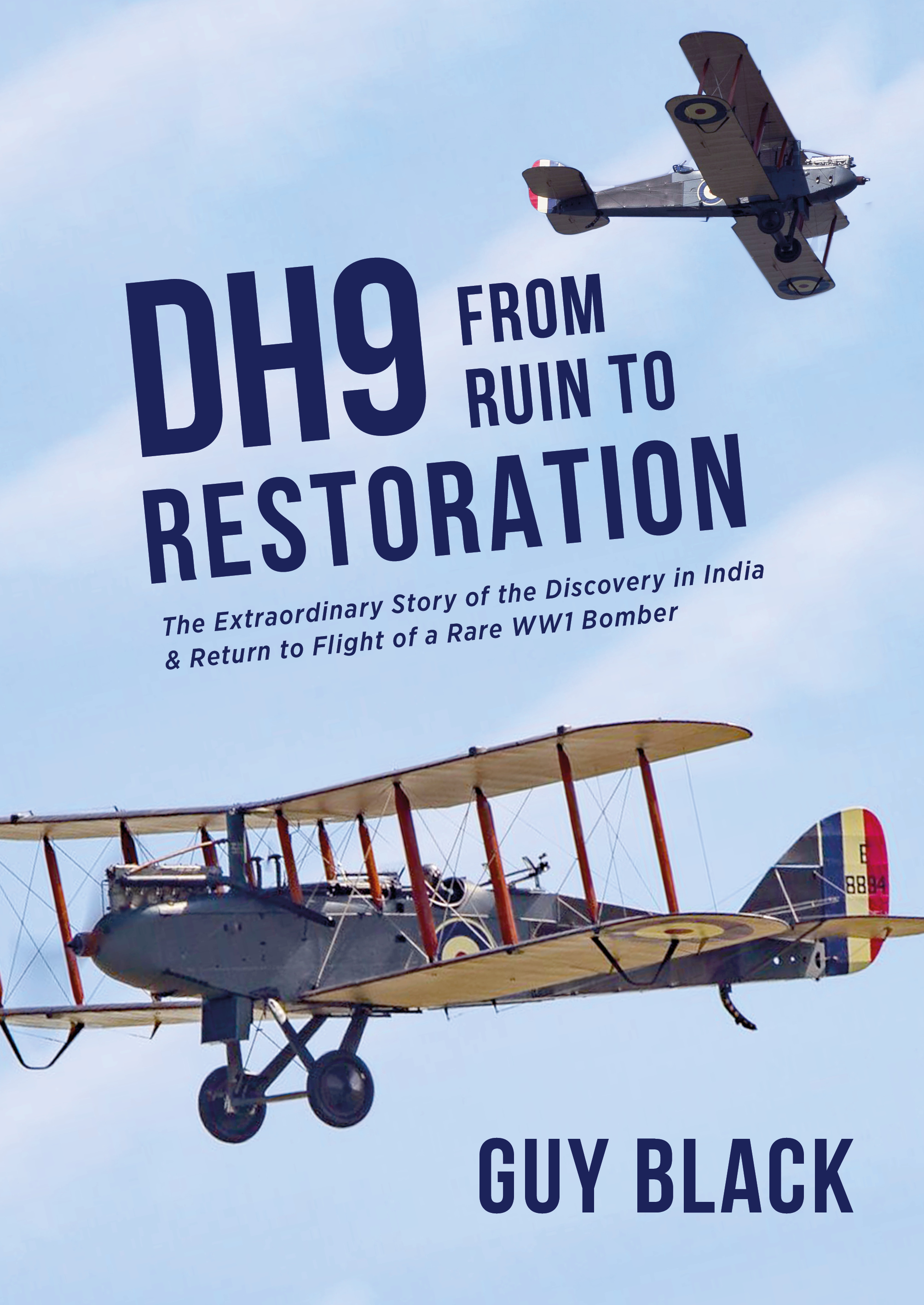 DH9: From Ruin to Restoration | Grub Street Publishing